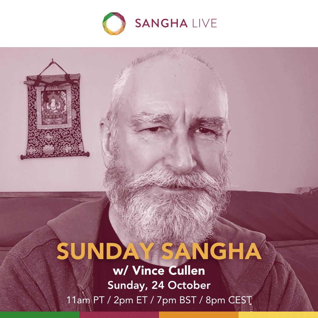 Cabbages and Condoms - Wholehearted Living